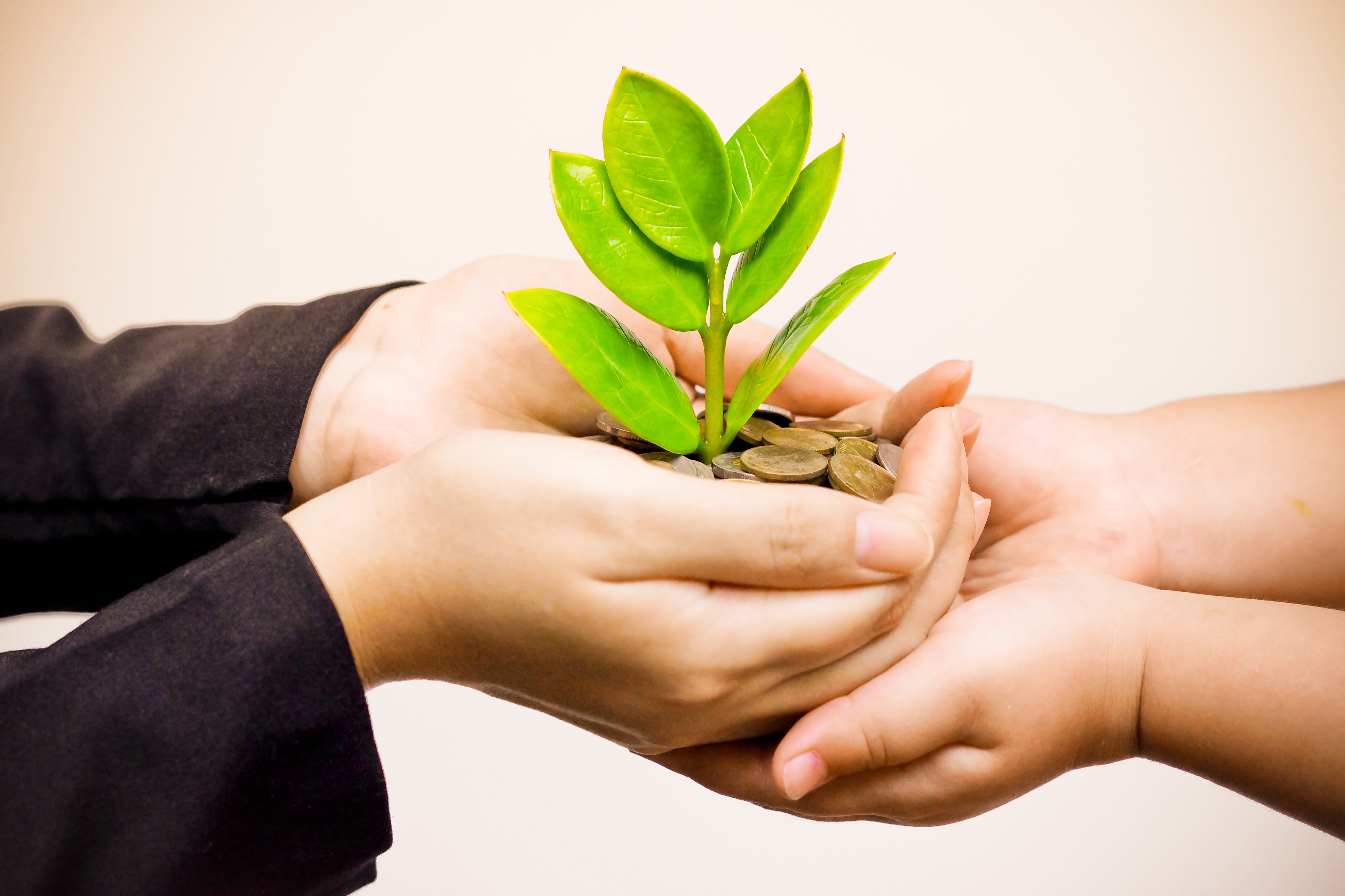 An Introduction to Sustainable and Ethical investing